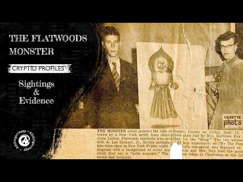 Cryptid Profiles | The Flatwoods Monster