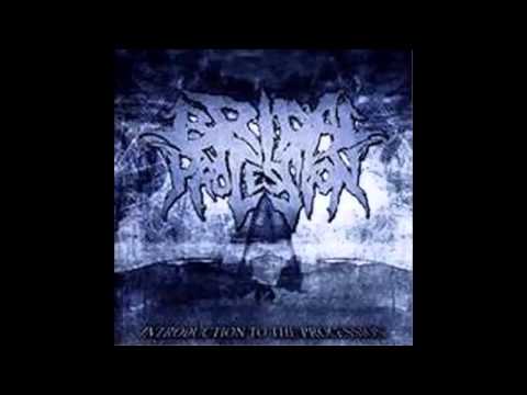 The Bridal Procession - Introduction to the Procession 2007 [FULL DEMO]