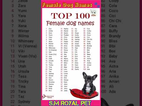 Female dog names 💖✨ comment your dog names 💥 #2024 #doglover #777 #dachshundpuppy @PetcareKannada