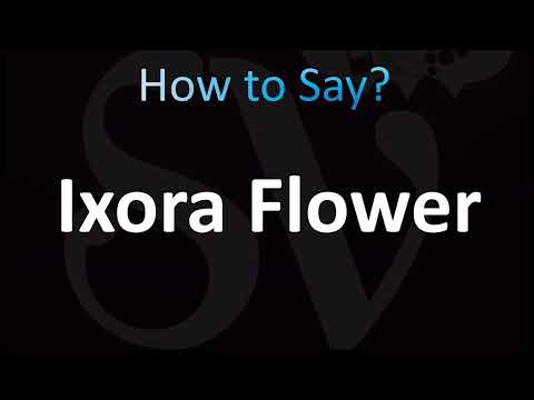 How to Pronounce Ixora Flower (CORRECTLY!)