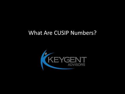 What Are CUSIP Numbers?