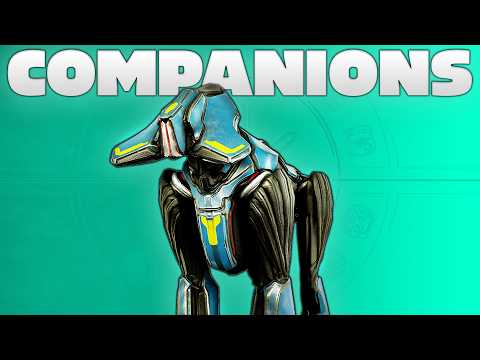 Use These Companions to Make Warframe Easier!