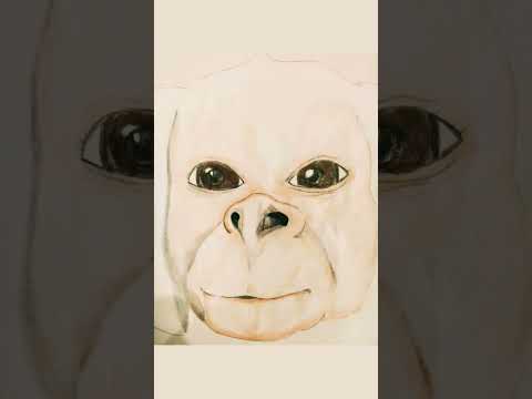 #luckdragon #falkor #drawing by Cla #neverendingstory #80s #kidsart #pencilart #fortunadrago #pencil