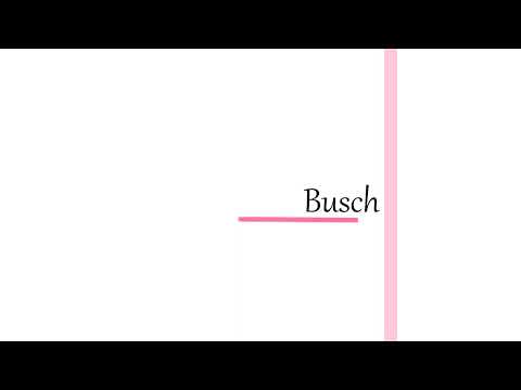 How To Pronounce Busch.