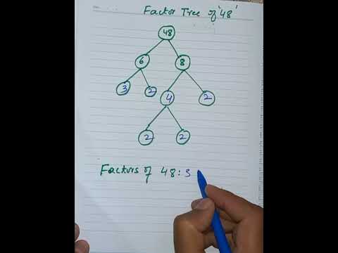 Factor tree of 48🥰