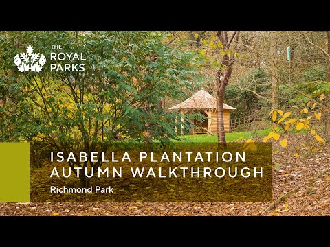 Isabella Plantation in Richmond Park autumn walkthrough | The Royal Parks