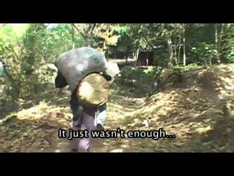 ACOES: the history of a cooperative