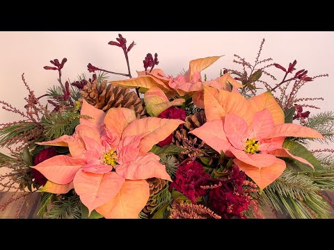 Poinsettias and Pinecones