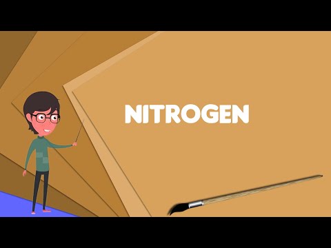 What is Nitrogen? Explain Nitrogen, Define Nitrogen, Meaning of Nitrogen