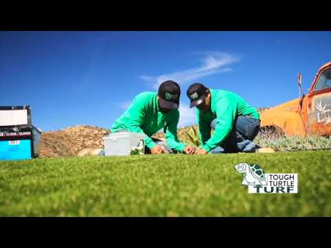 Artificial Grass for Dogs | Best Artificial Grass San Diego