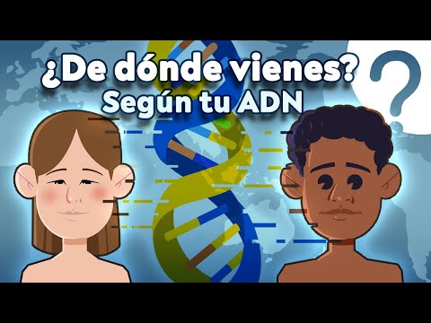 What is your genetic origin?