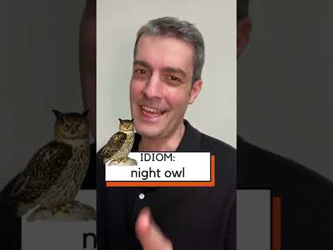 IDIOM: night owl
