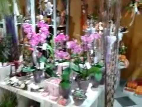 Die Blume creative Werkstatt- Floristik mit Flair
