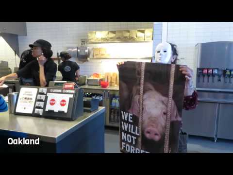 Violence Unmasked - Animal Rights Activists Speak Across the Globe