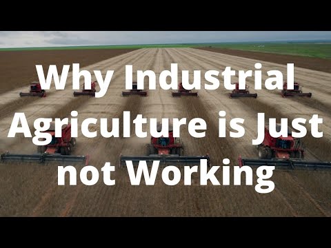 When More is Less: The Failure of Intensive Agriculture