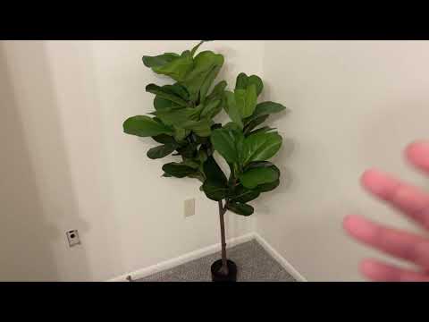 Artificial Tree | Honest Review
