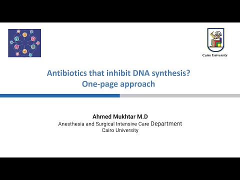 Antibiotic inhibit DNA synthesis