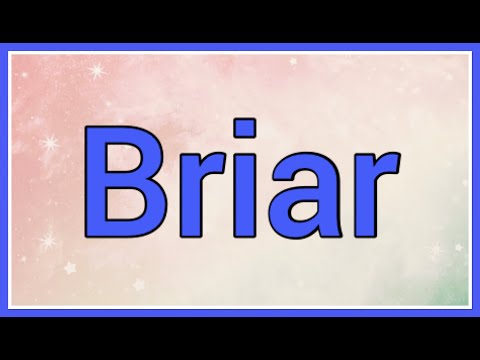 Briar | Name Origin Meaning Variations