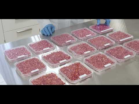 CSAT - How we Test for the Best Quality