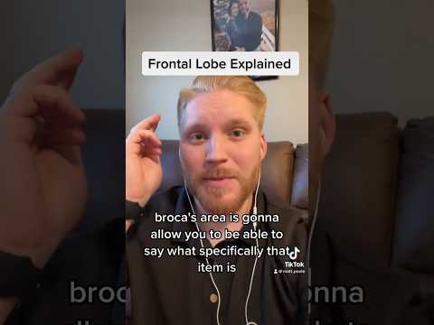 Frontal Lobe #psychology #neuroscience #frontallobe #prefrontalcortex #biopsychology #psych