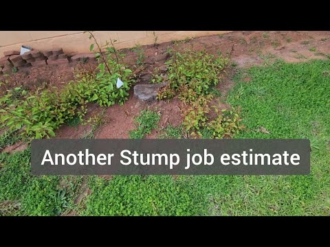 Estimating another Stump Grinding Job