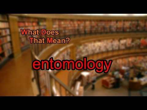 What does entomology mean?