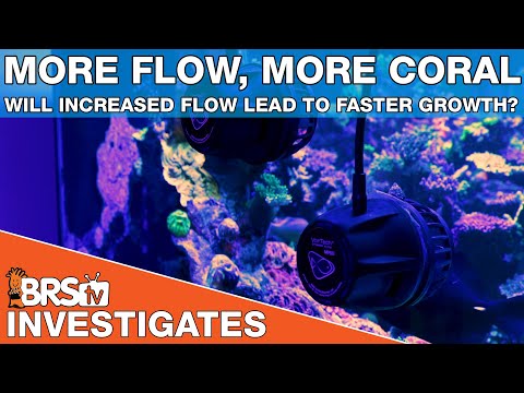 Aquarium powerheads, testing how much water flow for a reef tank | BRStv Investigates
