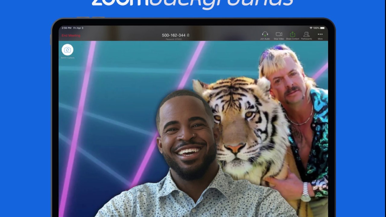 Funniest ZOOM Video Backgrounds Ever!