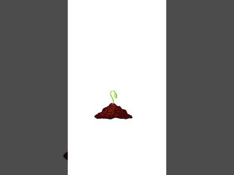 Parts of a plant (Marathi)