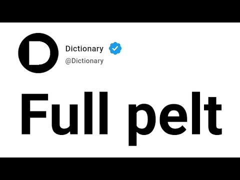 Full pelt Meaning In English