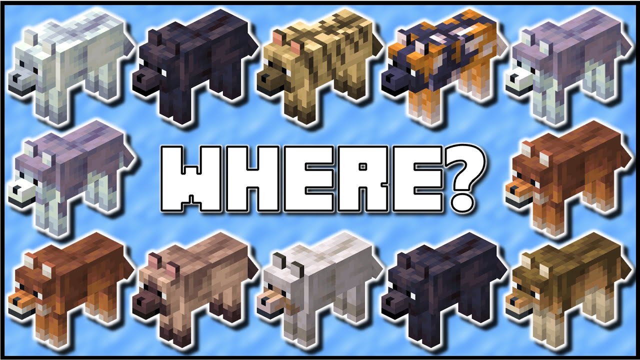Minecraft - How To Get All 9 Wolf Variants (Java/Bedrock)