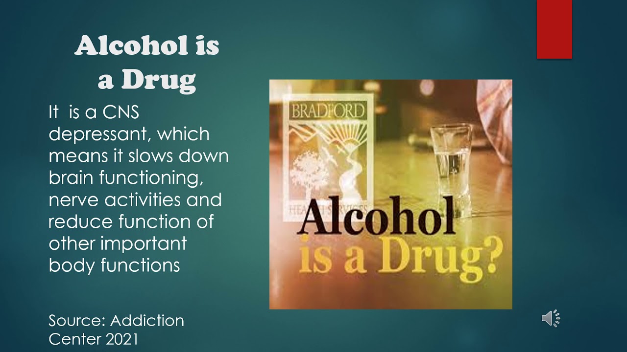 PPT Lesson Plan  Alcohol Abuse