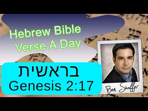 Tree of the Knowledge of Good and Evil - Genesis/Bereishit 2:17