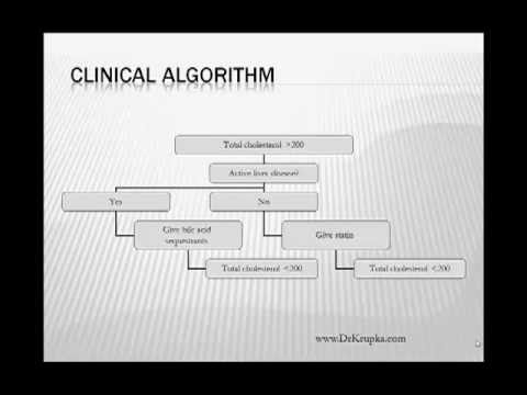 What is Functional Medicine? How is it different? | Dr. Patrick Kupka D.C.