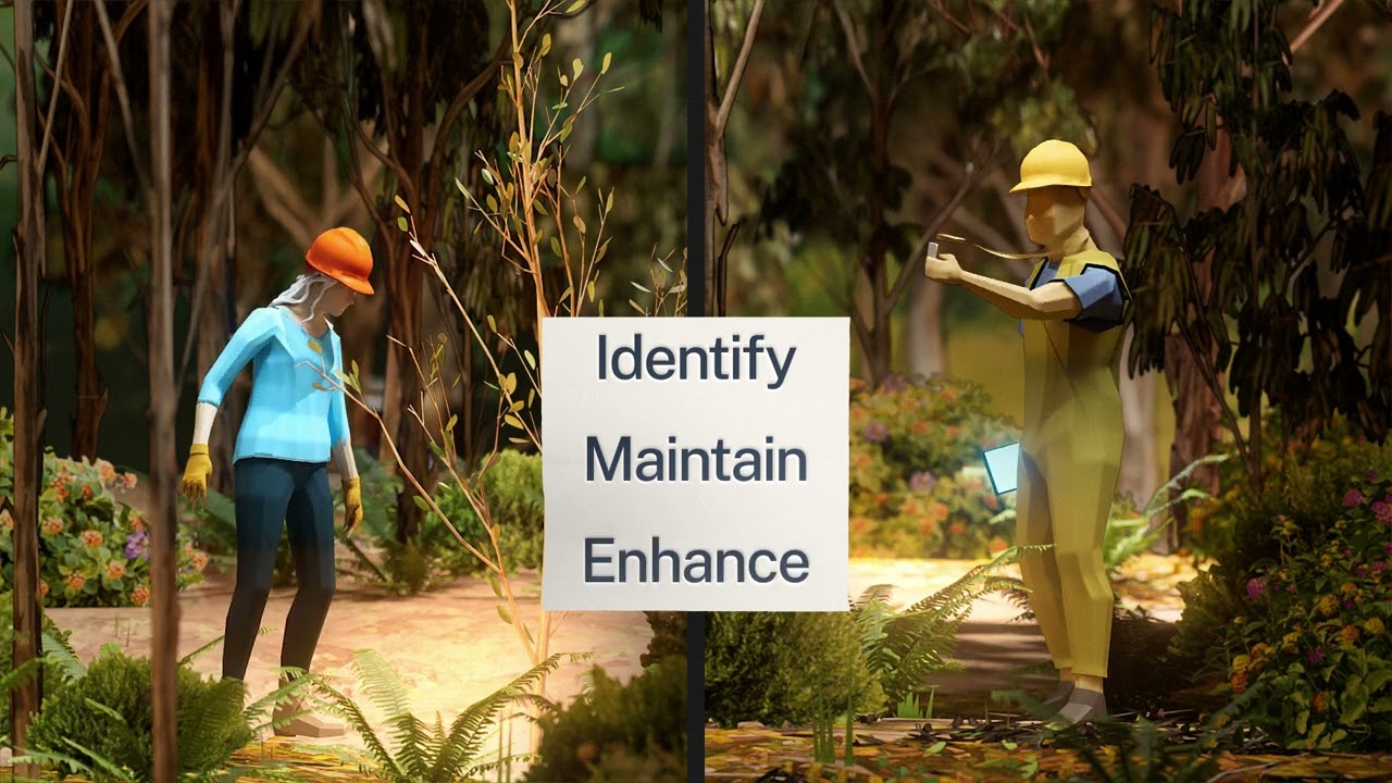 Private Native Forestry explained