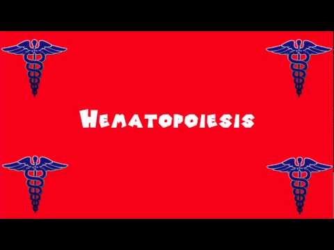 Pronounce Medical Words β Hematopoiesis
