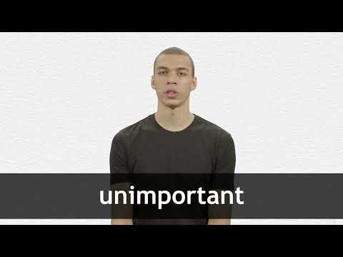 UNIMPORTANT definition and meaning | Collins English Dictionary