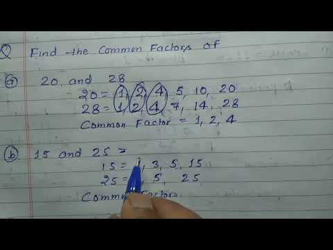 Find the factors of 20 and 28
