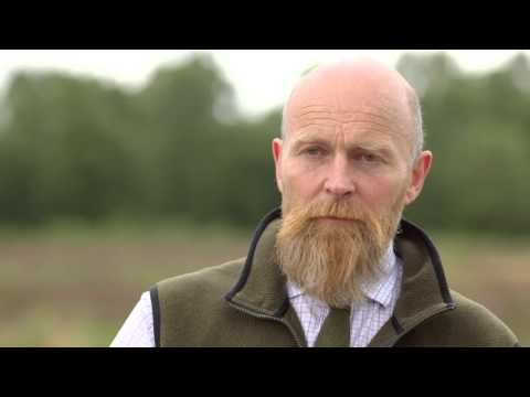 The Importance of Scotland's Peatlands HD