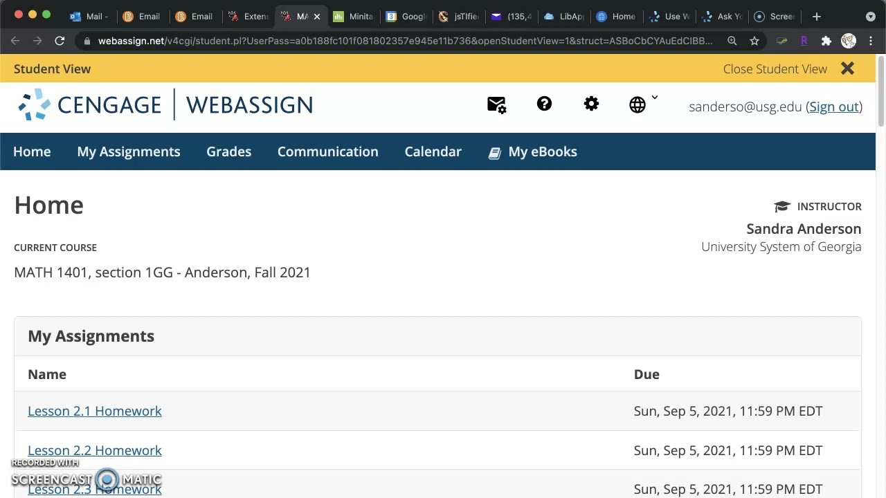 how to request extension - webassign