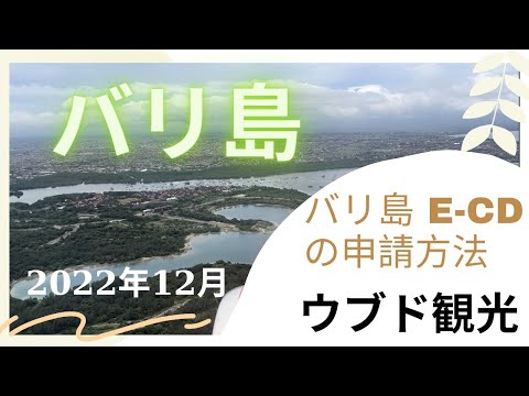 【インドネシア】2022年12月 バリ島 e-CD (電子税関申告書)の申請方法 とウブド観光★現地レポート★