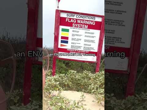 What does the Red Flag mean at the Island / Beach? I would not go in if the Purple Flag was up!