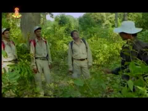 Nepal & NepaliNepali Movie – Bar Pipal