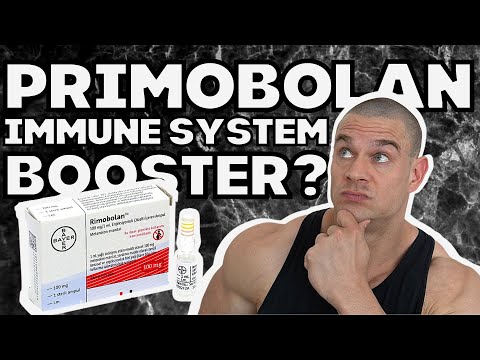 Primobolan & The Immune System | Does Primo Boost White Blood Cell Count ? | Vigorous PEDs
