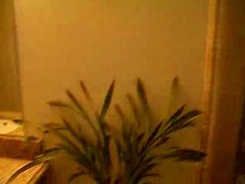 TOUR INSIDE OF HOME - 15441 REEVE, GG, CA 92843 - $599,900