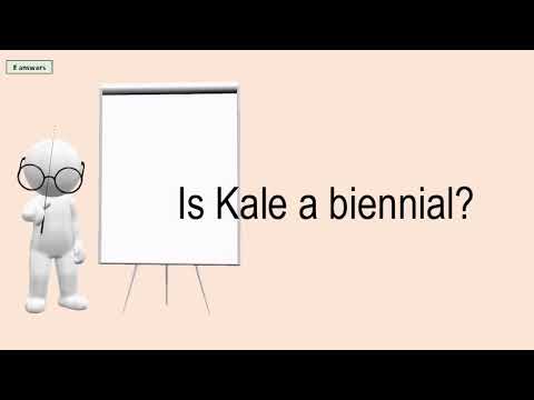 Is Kale A Biennial?