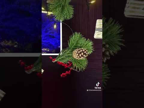 Johnson City, TX Christmas lights