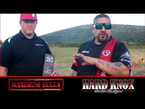 MAXIMUM BULLY FOOD BRET INTERVIEW 951-733-8581