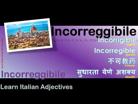 Incorreggibile - How to Pronounce Incorreggibile in Italian with English meaning as Incorrigible?
