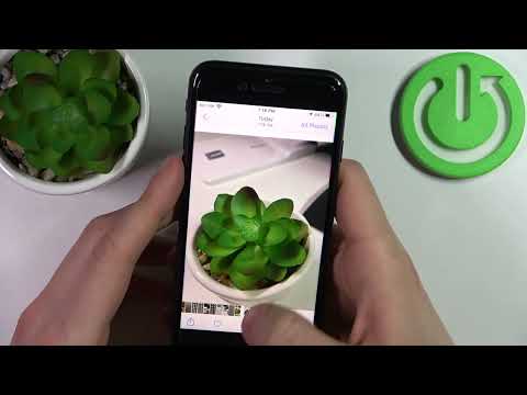How to Activate Camera Location on iPhone SE (2022) - Manage iOS Geotags
